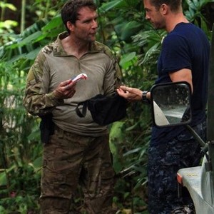 David Snell - Rotten Tomatoes