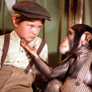 Toby Tyler - Rotten Tomatoes