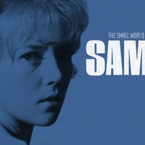 The Small World of Sammy Lee - Rotten Tomatoes