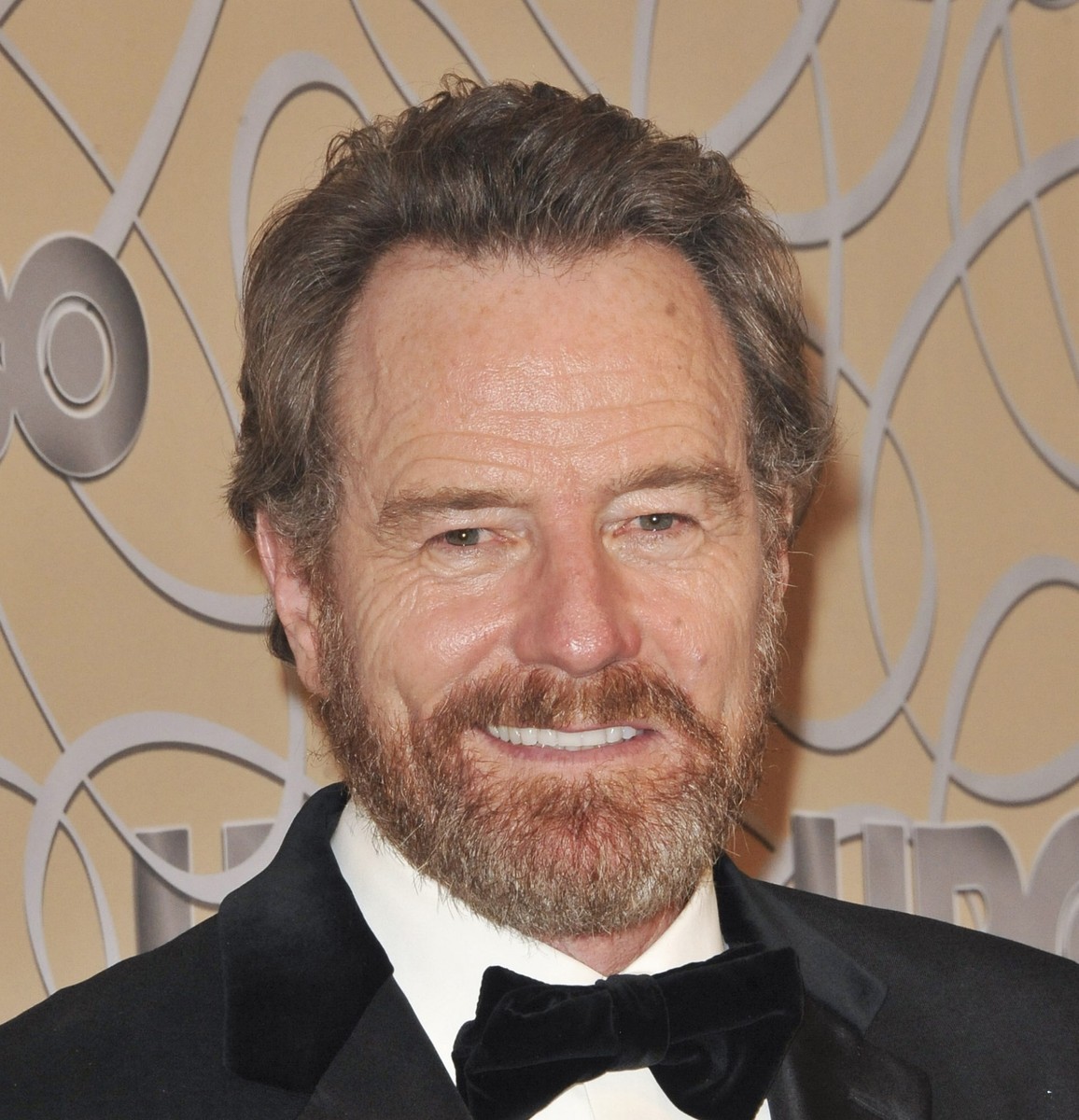 Bryan Cranston - Rotten Tomatoes
