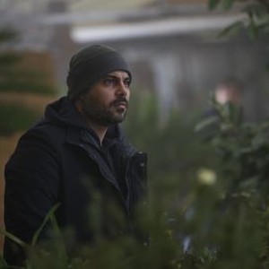 Security - Rotten Tomatoes