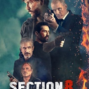 Section 8 - Rotten Tomatoes