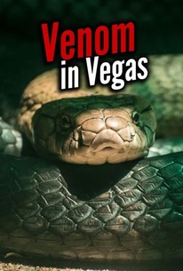 Venom in Vegas | Rotten Tomatoes