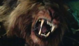 Beast - Rotten Tomatoes