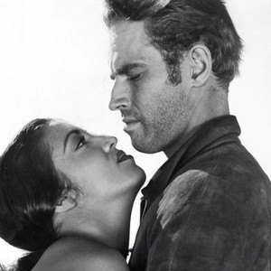 Arrowhead - Rotten Tomatoes