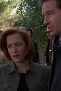 The X-Files: Season 7, Episode 4 | Rotten Tomatoes
