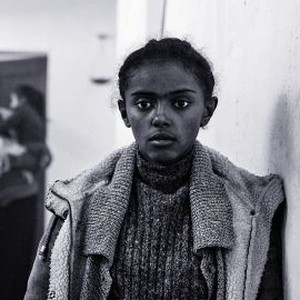 Fortuna - Rotten Tomatoes