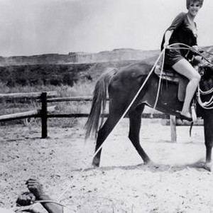 The Female Bunch - Rotten Tomatoes