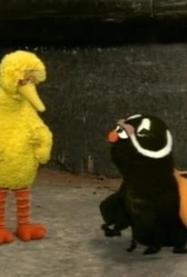 Sesame Street - Season 36 Episode 26 - Rotten Tomatoes