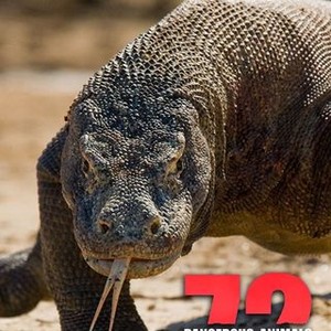72 Dangerous Animals: Asia - Rotten Tomatoes