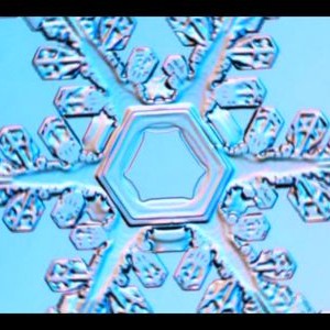 Secret of Water - Rotten Tomatoes