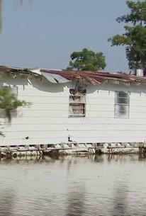 Swamp Pawn: Season 2, Episode 12 | Rotten Tomatoes