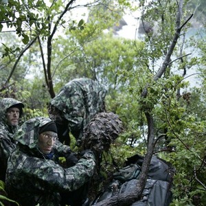 The Cove - Rotten Tomatoes