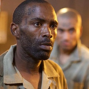 Noem My Skollie: Call Me Thief - Rotten Tomatoes