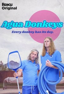 Agua Donkeys - Rotten Tomatoes