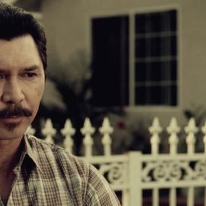 Filly Brown - Rotten Tomatoes