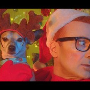 Christmas Freak - Rotten Tomatoes