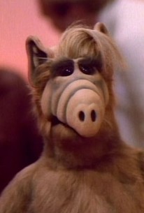 ALF: Season 2, Episode 12 | Rotten Tomatoes