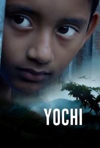 Yochi | Rotten Tomatoes