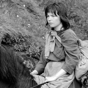 Björk - Rotten Tomatoes