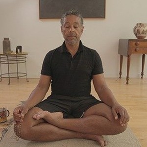 On Meditation - Rotten Tomatoes