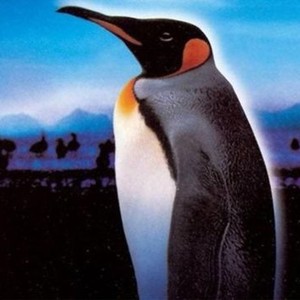 Winged Migration - Rotten Tomatoes