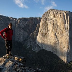 Free Solo - Rotten Tomatoes