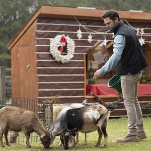 A Unicorn for Christmas - Rotten Tomatoes