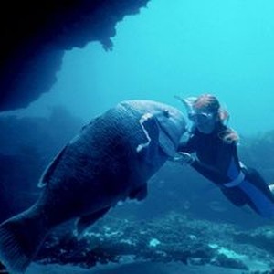 Blueback - Rotten Tomatoes