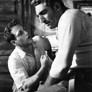 Rotten Tomatoes: Movies | TV Shows | Movie Trailers | Reviews - Rotten ...