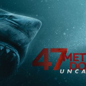 47 Meters Down: Uncaged - Rotten Tomatoes