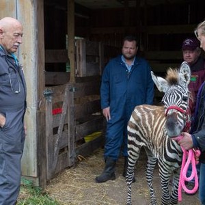 Charles Pol - Rotten Tomatoes