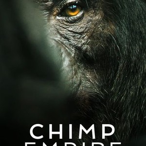 Chimp Empire - Rotten Tomatoes