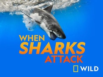 shark attack 2 opening