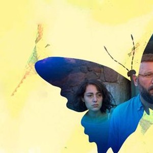 Butterflies - Rotten Tomatoes