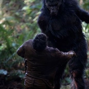 Primal Rage - Rotten Tomatoes