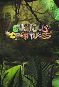 Curious Creatures | Rotten Tomatoes