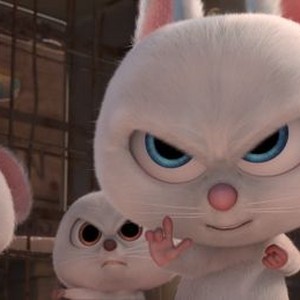 The Nut Job 2: Nutty by Nature - Rotten Tomatoes