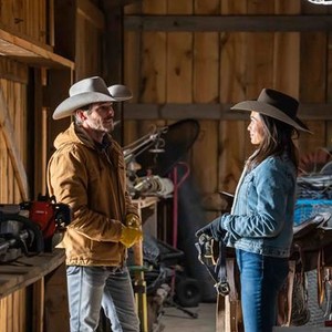 Moonrise - Rotten Tomatoes