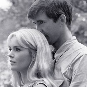 Pretty Poison - Rotten Tomatoes