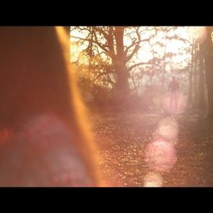 Treehouse - Rotten Tomatoes