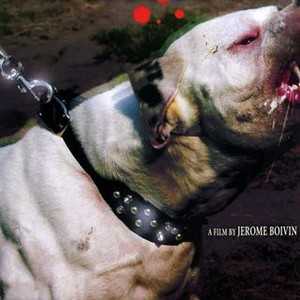 Baxter - Rotten Tomatoes