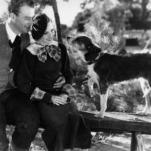 Barbara Sheldon - Rotten Tomatoes