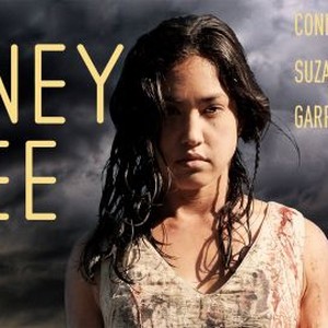 HoneyBee - Rotten Tomatoes