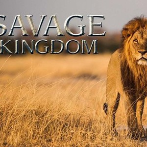 Savage Kingdom - Rotten Tomatoes