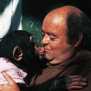 Mookie - Rotten Tomatoes