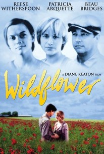 Wildflower | Rotten Tomatoes