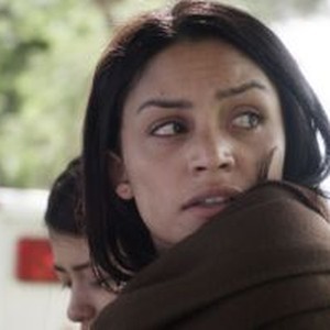 Priceless - Rotten Tomatoes