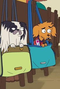 HouseBroken: Season 2, Episode 11 - Rotten Tomatoes