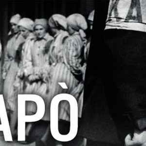 Kapò - Rotten Tomatoes